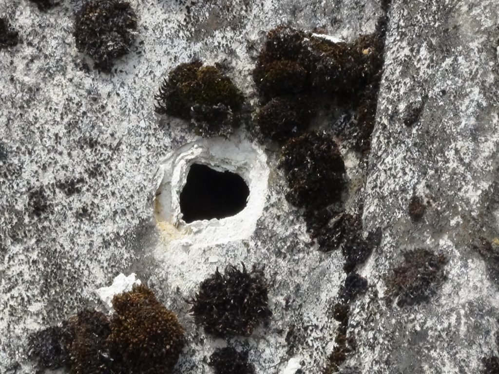 Asbestos Roof Hole Repair Kit at Adelina Holland blog